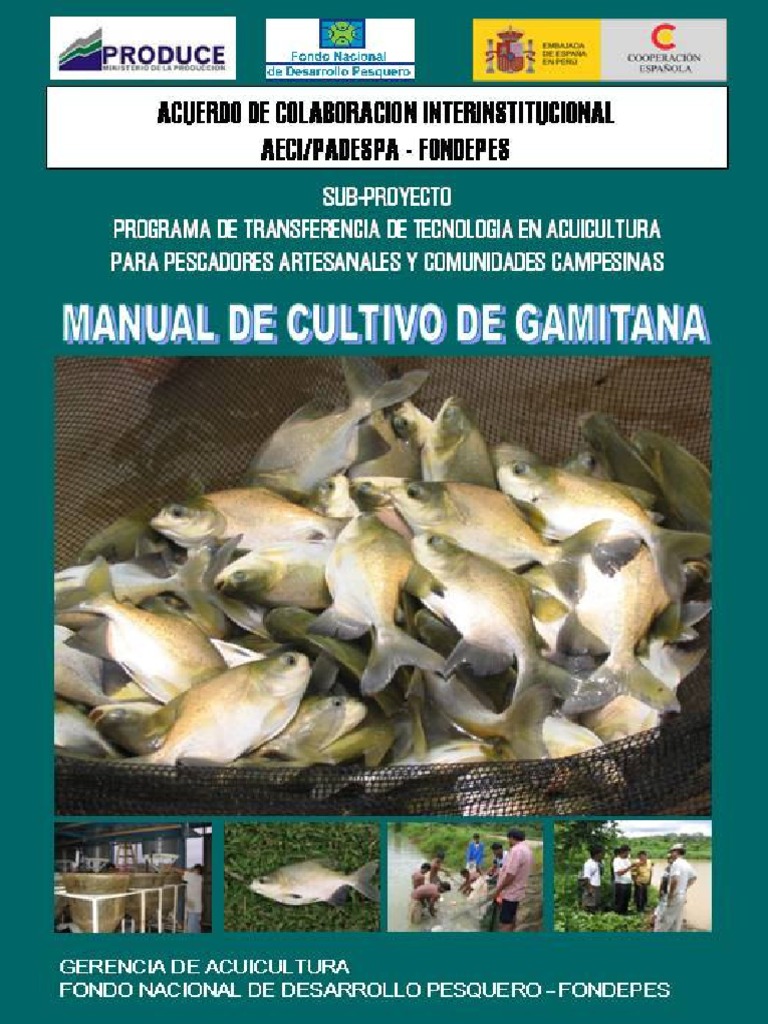 Manual Gamitana | PDF | Perú | Pescado