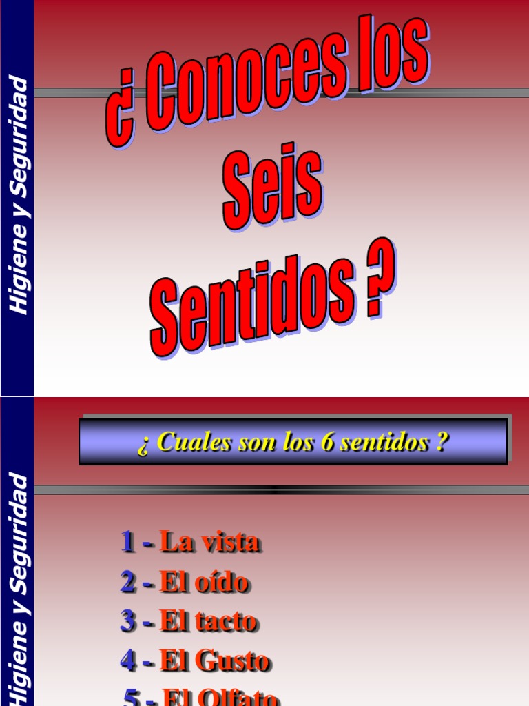 Los Seis Sentidos | PDF | Oído | Guante