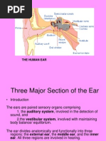 Grade 12 Life Science The Ear PDF | PDF | Ear | Hearing