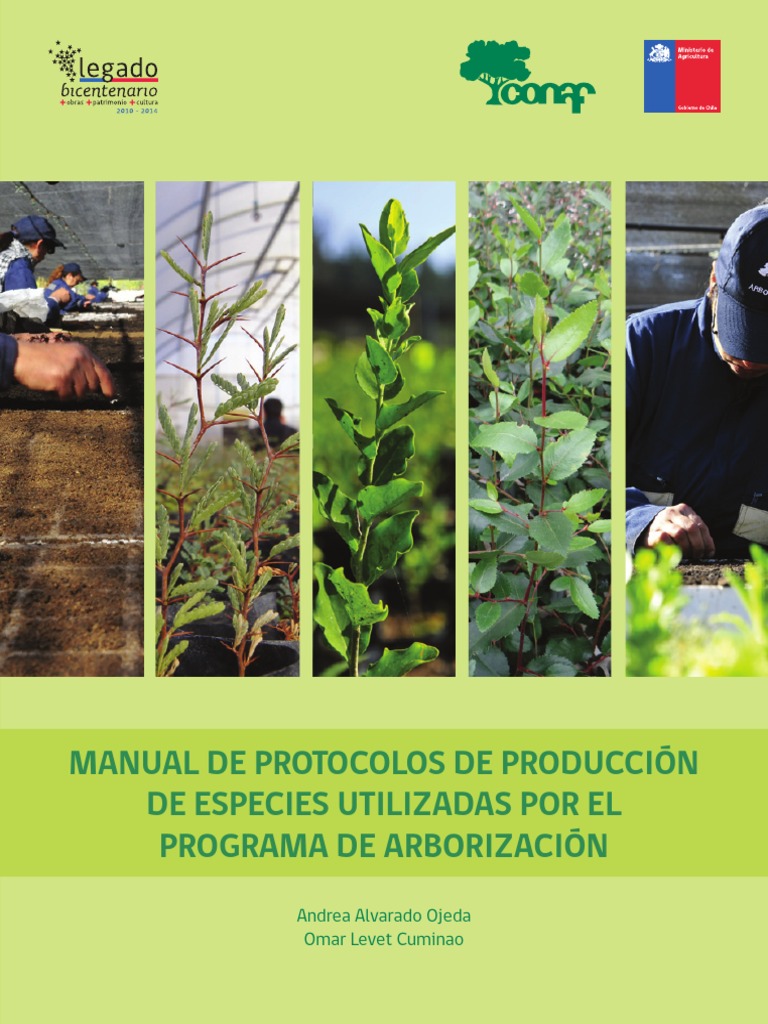 Manual Protocolos de Producción | PDF | Siembra | Plantas