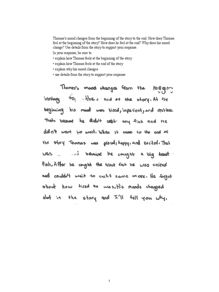 Level 4 Extended Response | PDF | Essays | Cognition