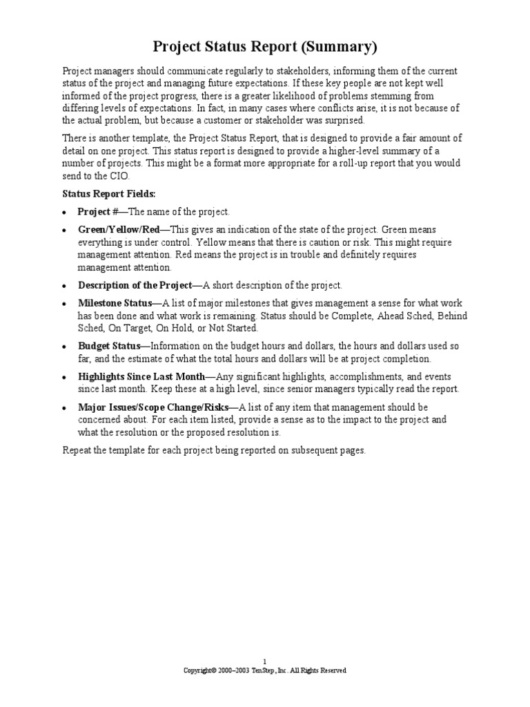 Project Status Report Summary | PDF | Risk | Business