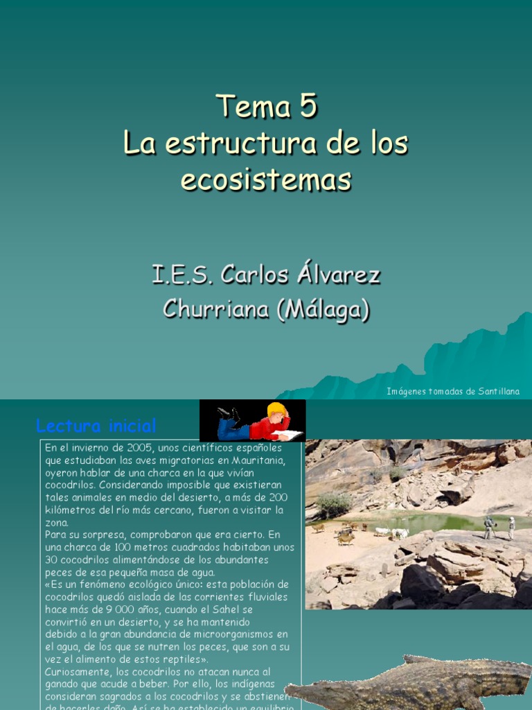 Tema 5 La Estructura de Los Ecosistemas | PDF | Ecología | Ecosistema
