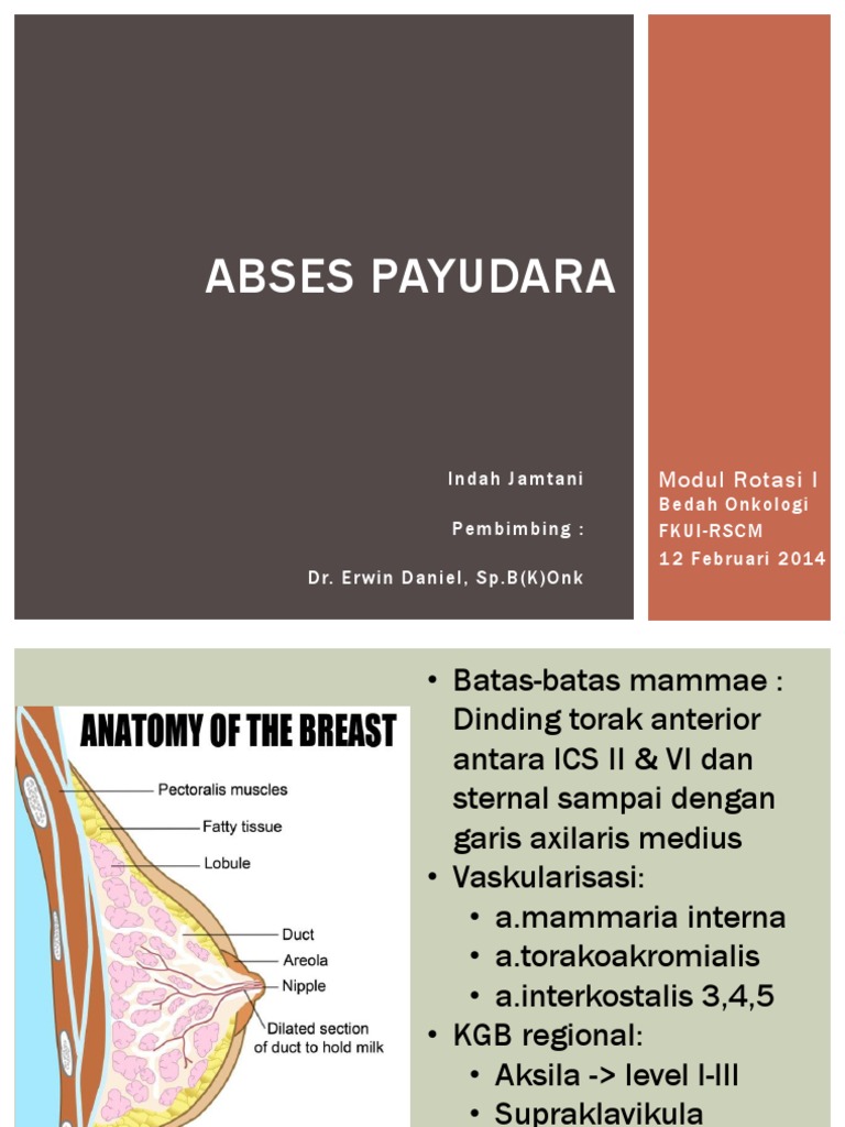 Abses Mammae | PDF