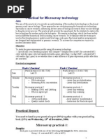 Sample Lab Report | PDF | Polymerase Chain Reaction | Taq Polymerase