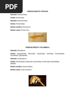 INSECTOS PLAGAS - Tara PDF | PDF | Lepidópteros | Mosca
