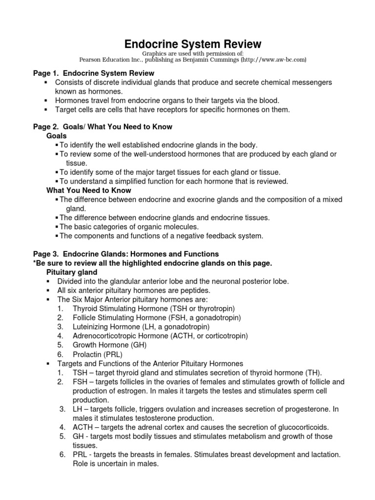 Endocrine Review | PDF | Hormone | Adrenal Gland