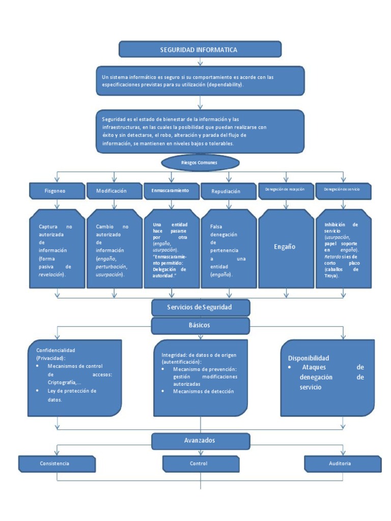 Seguridad Informatica Mapa Conceptual | PDF