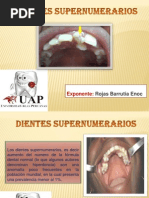 Código FDI: Guía para Odontólogos | PDF | Diente | Ramas de Odontología