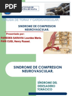 Guia 02 Sindrome Operculo Toracico | PDF | Anatomía humana | Sistema ...