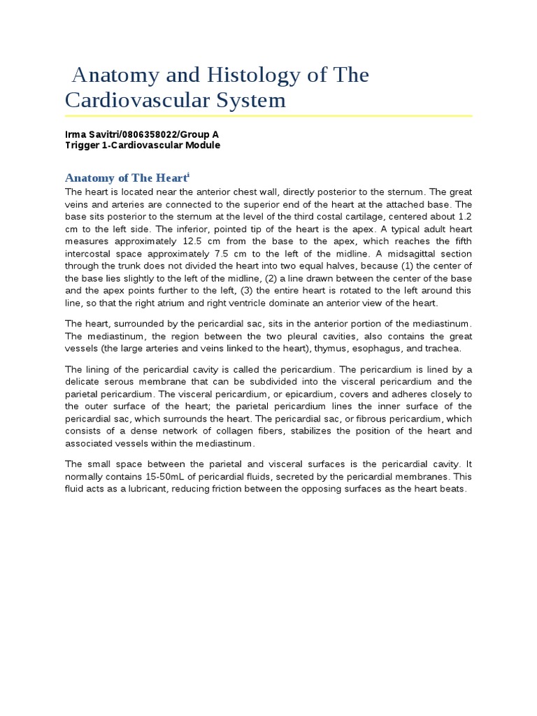 Anatomy and Histology of The Cardiovascular System | PDF | Aorta ...