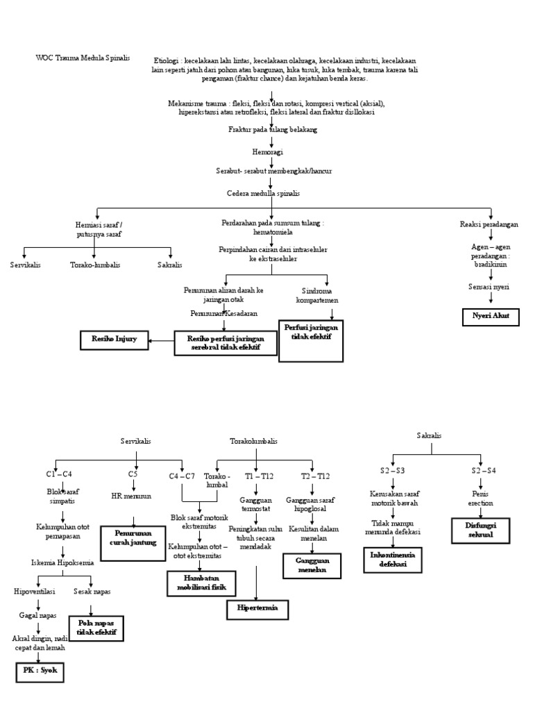 WOC Trauma Medula Spinalis & Shock Spinal