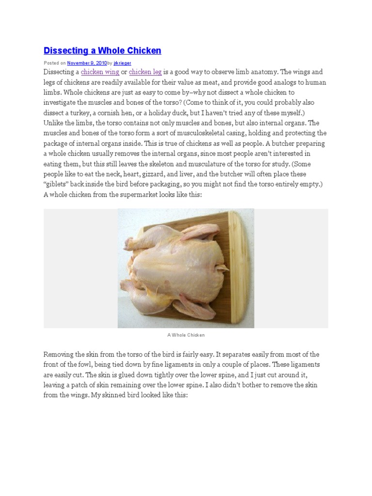 Dissecting A Whole Chicken | PDF | Skeletal System | Human Anatomy