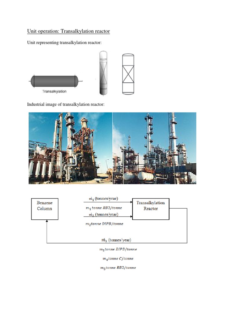 Transalkylation Reactor for Cumene Production | PDF | Science & Mathematics
