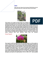 Morfologi Dan Anatomi Bunga Sepatu | PDF