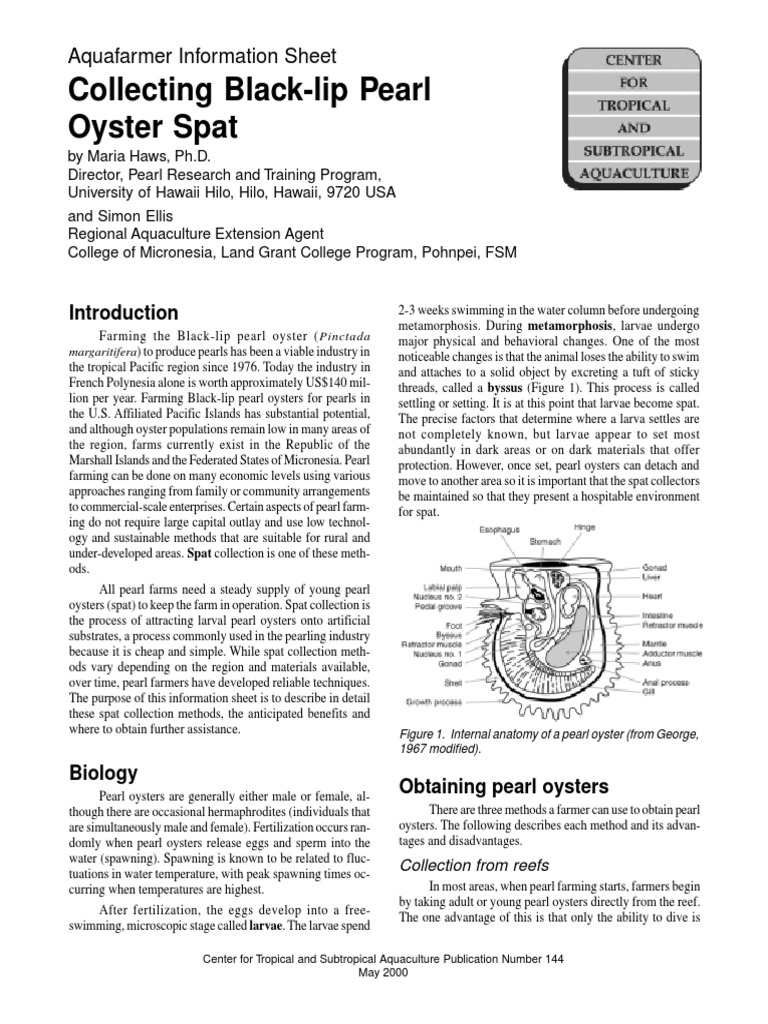 Spat Collection Study | Spawn (Biology) | Oyster