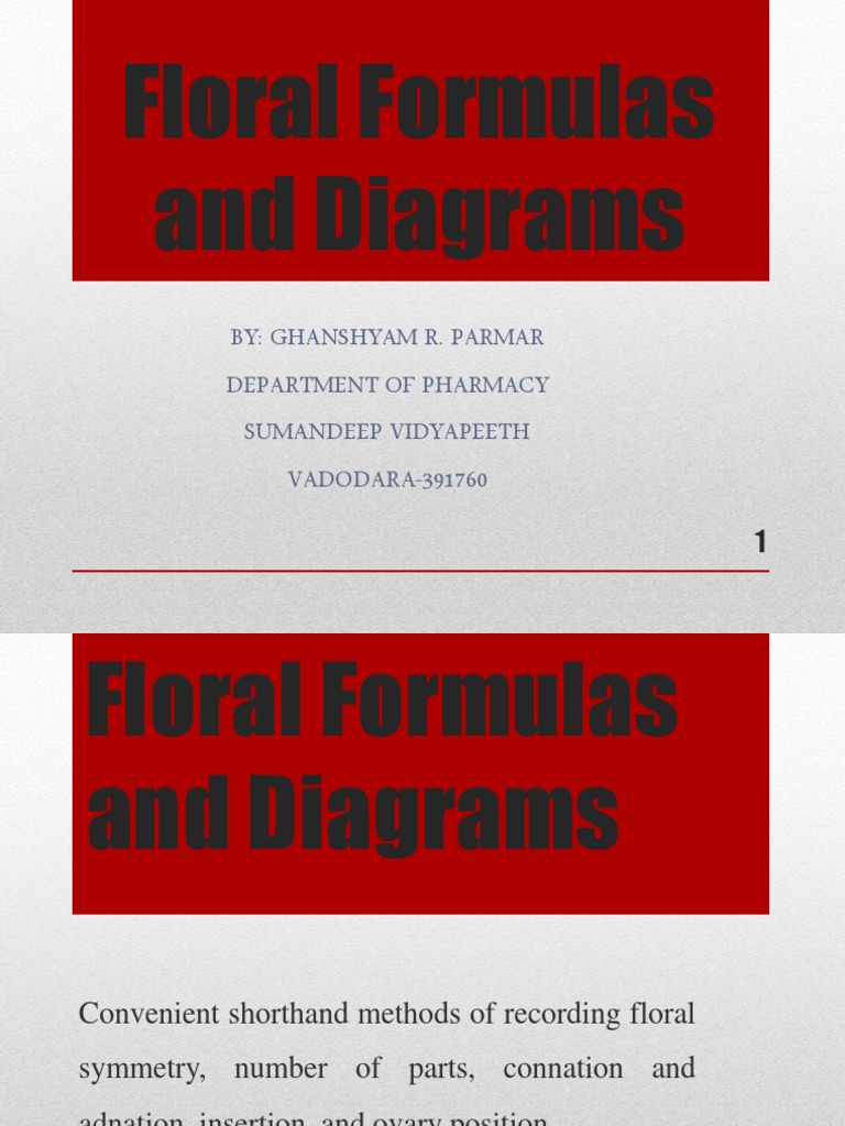 5 A. Floral Formulas and Diagrams | PDF | Flowers | Petal