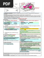 Ficha Tecnica TONI-2 - Test de Inteligencia No Verbal. | PDF