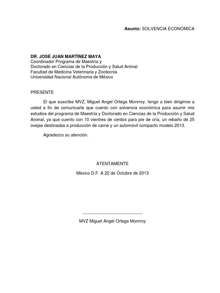 Solvencia Economica | PDF