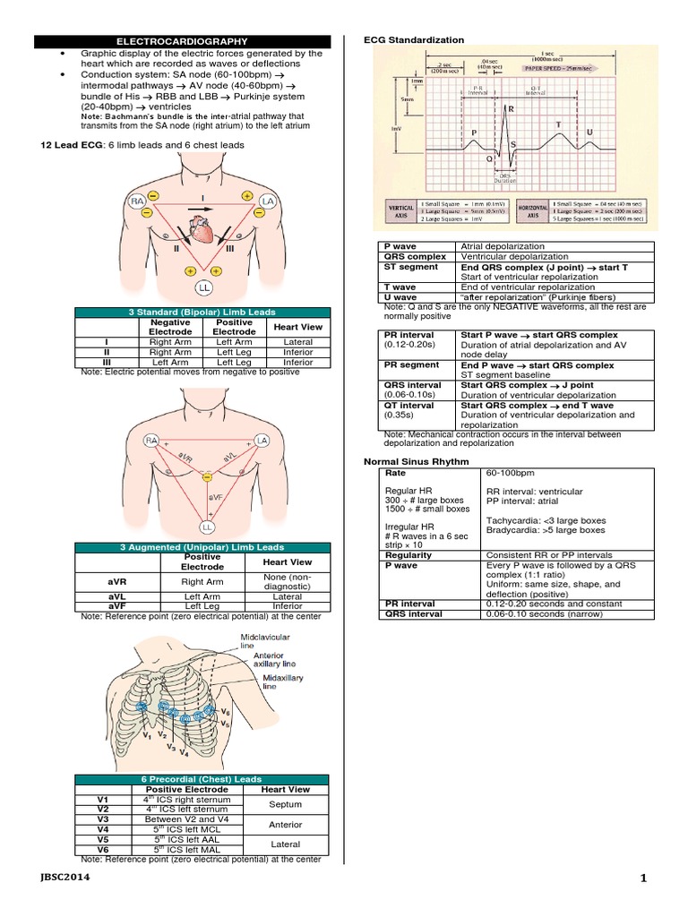 Electrocardiography: ECG Standardization | PDF | Electrocardiography ...