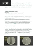 Prueba o Reacción de Hopkins-Cole | PDF | Aminoácidos | Proteínas