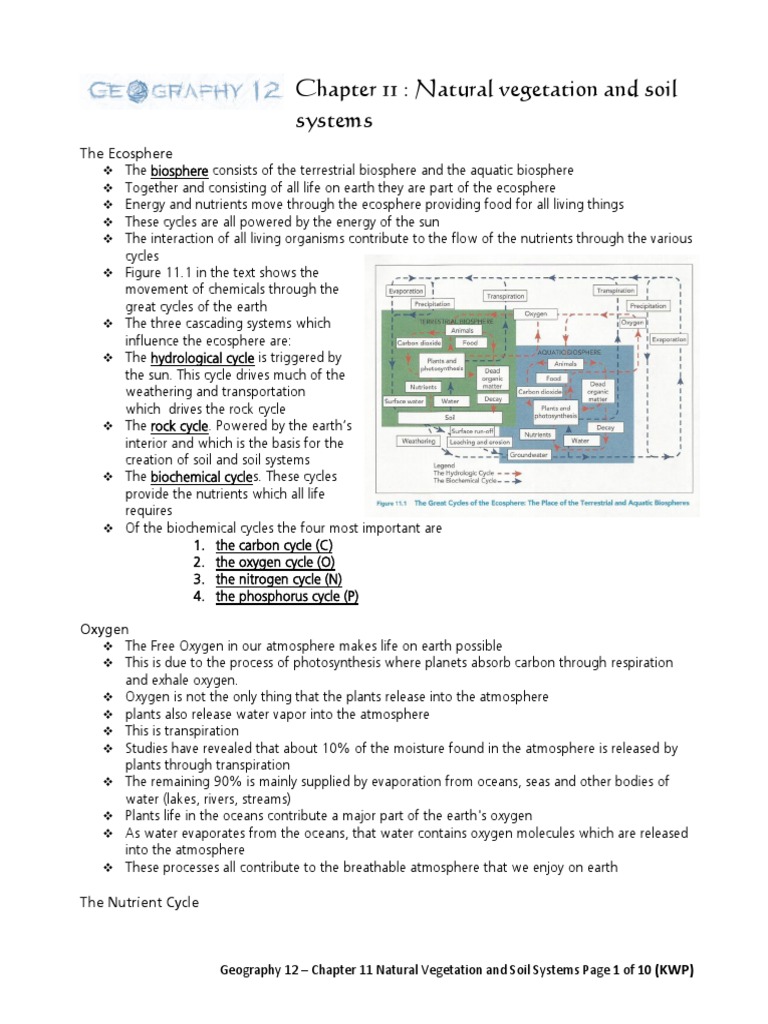 Geo 12 Chapter 11 Soil & Vegetation NOTES | PDF | Food Web | Soil