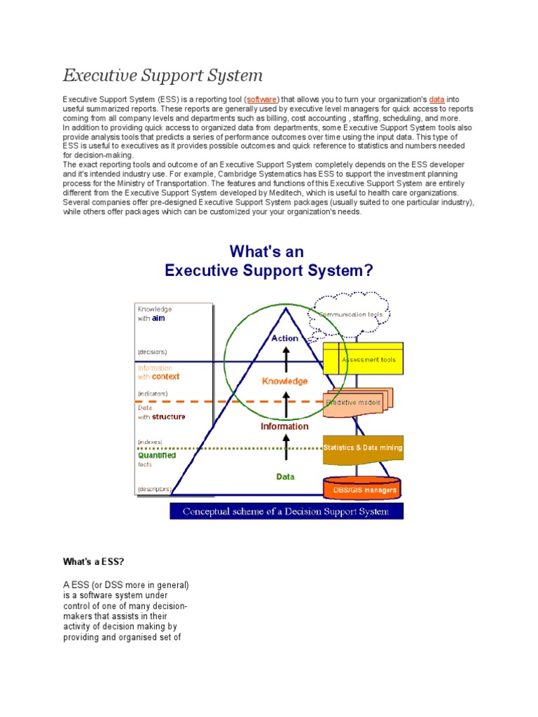 Executive Support System | PDF | Computers
