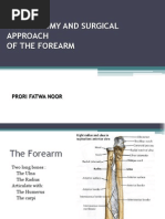 Palmar Approach - Modified Henry Approach | PDF | Hand | Human Anatomy