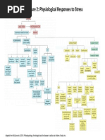 Sample Strong Eras Lor 5-05 | PDF | Medical School | Medical Imaging