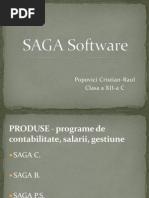 Saga - Ro - Introducere in Utilizarea Programului de Contabilitate SAGA ...