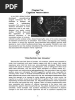 Brain Rules Study Guide | PDF | Brain | Attention