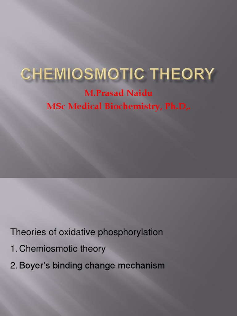 Chemiosmotic Theory | PDF | Cellular Respiration | Adenosine Triphosphate