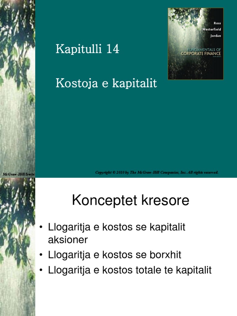 Kostoja e Kapitalit Chap 014 | PDF
