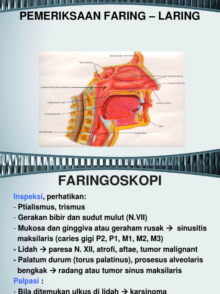 Pemeriksaan Faring Laring | PDF | Kajian Bahasa Asing | Sains & Matematika