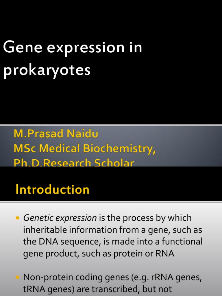 Gene Expression in Prokaryotes. | PDF | Operon | Repressor