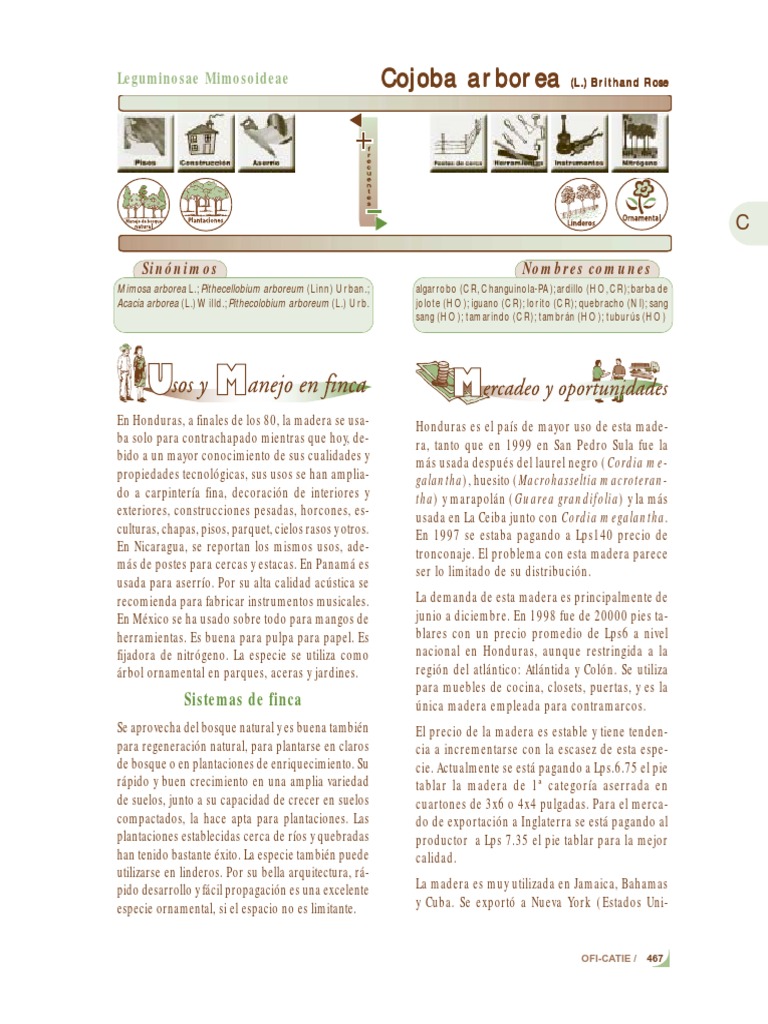 Características y usos de Cojoba arborea | PDF | Arboles | Centroamérica