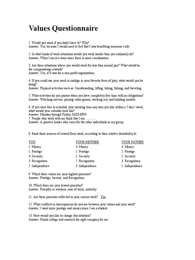 Work Values Questionnaire Insights | PDF