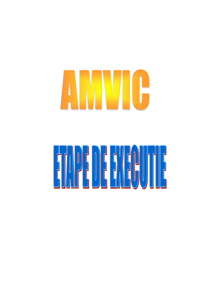 Etapele de Executie Ale Unei Case Amvic | PDF