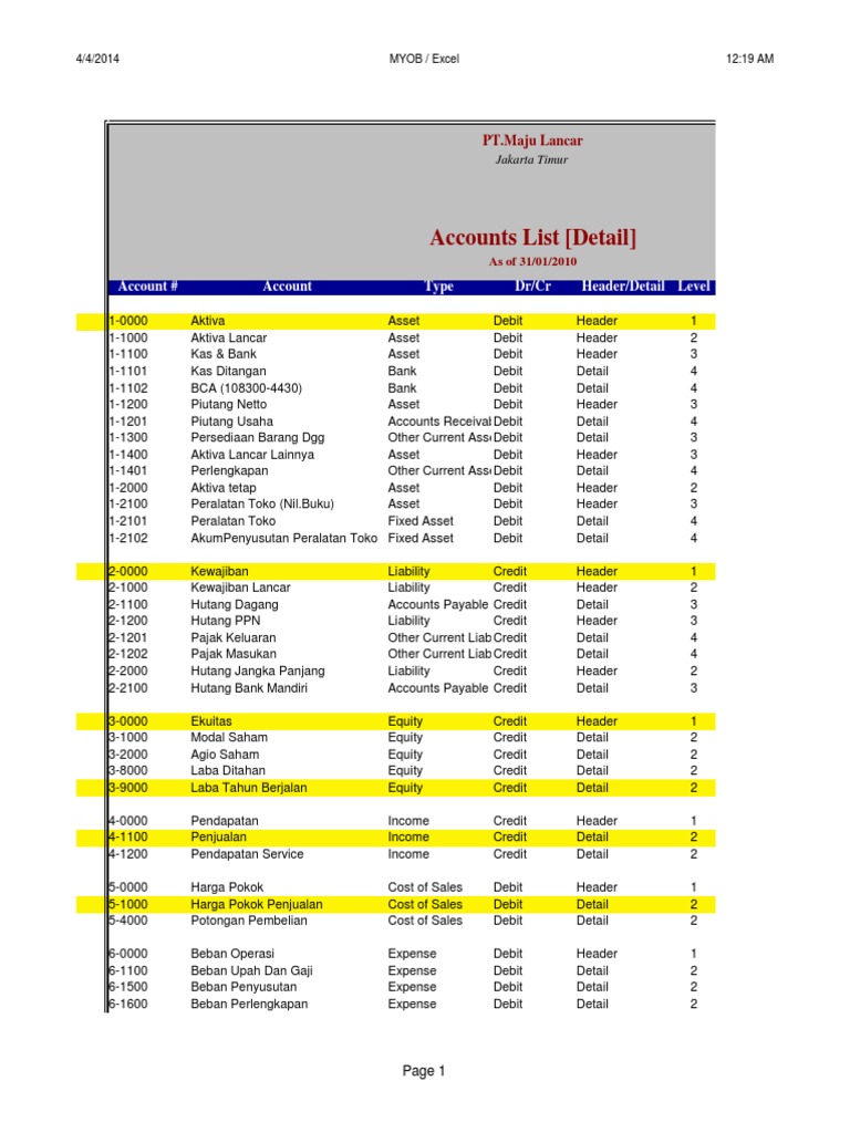 MYOB Excel Accounts List Overview | PDF