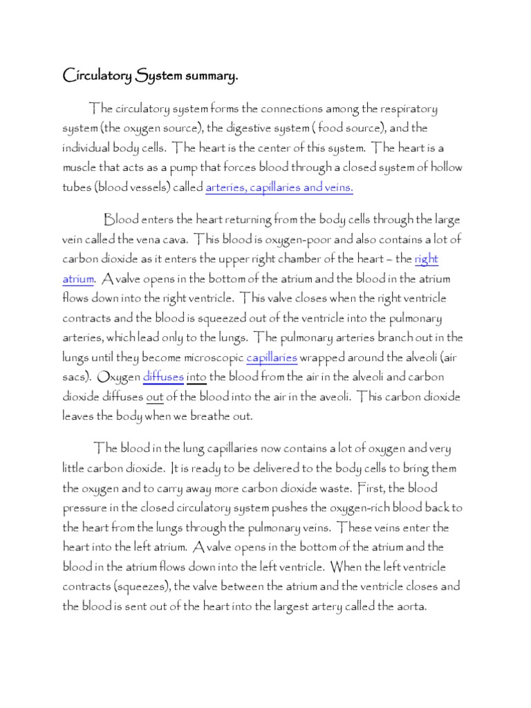 Circulatory System Summary | PDF | Heart | Circulatory System