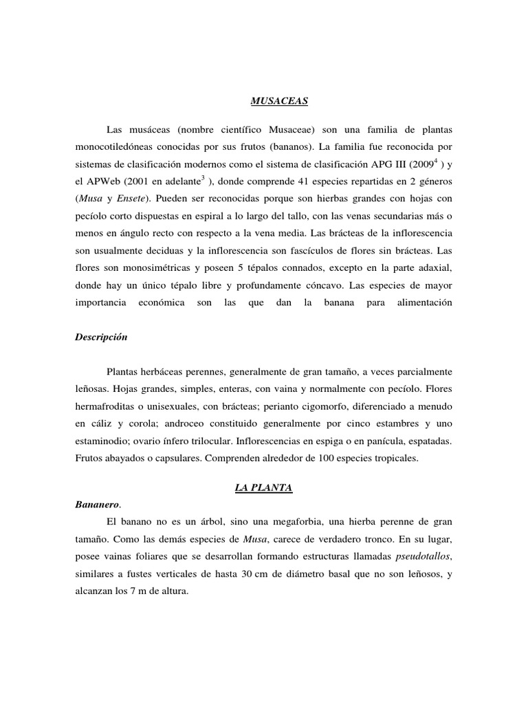 MUSACEAS | PDF | Plantas | Horticultura y jardinería