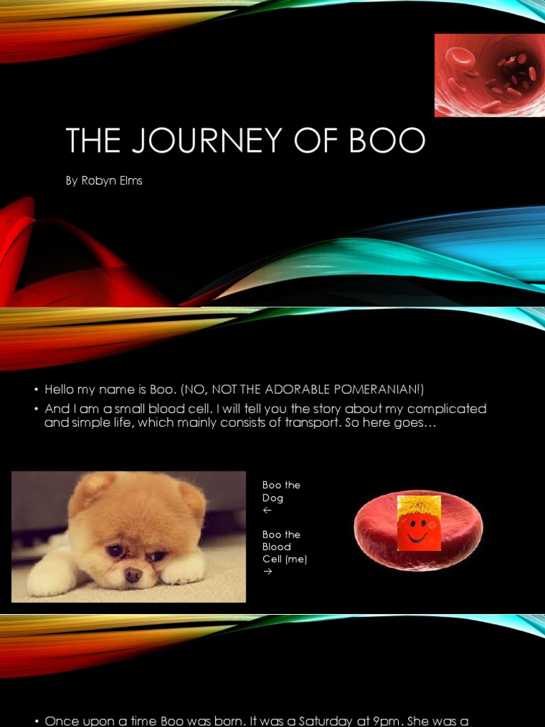 The Journey of Boo Powerpoint | PDF | Atrium (Heart) | Heart