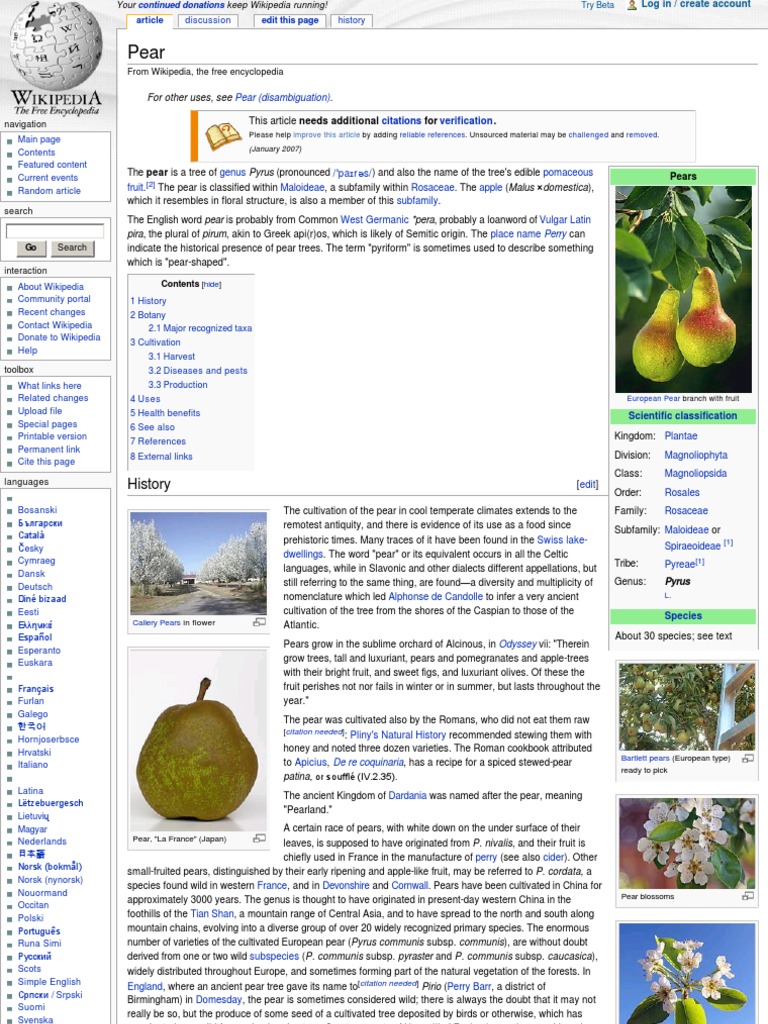 More About Pear | PDF