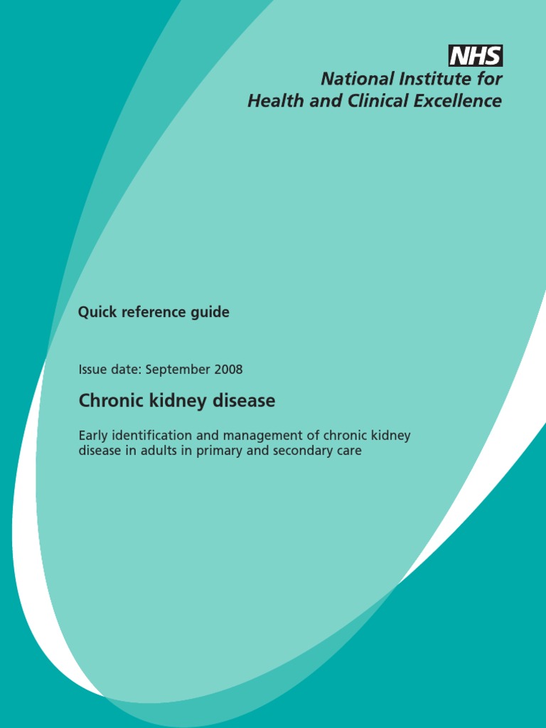CKD Quick Guide | PDF
