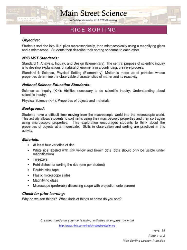 Lesson Plan Rice Sorting | PDF | Inquiry | Science