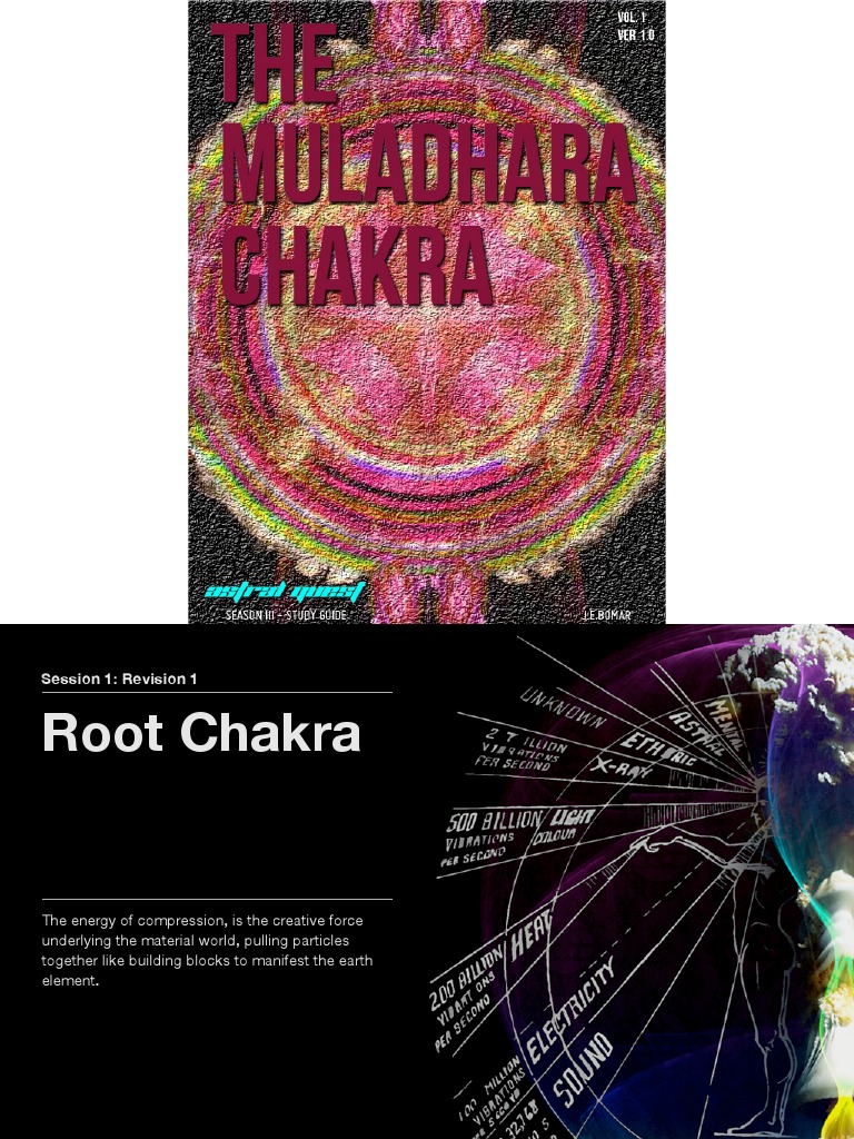 The Root Chakra Handbook | PDF | Large Intestine | Chakra