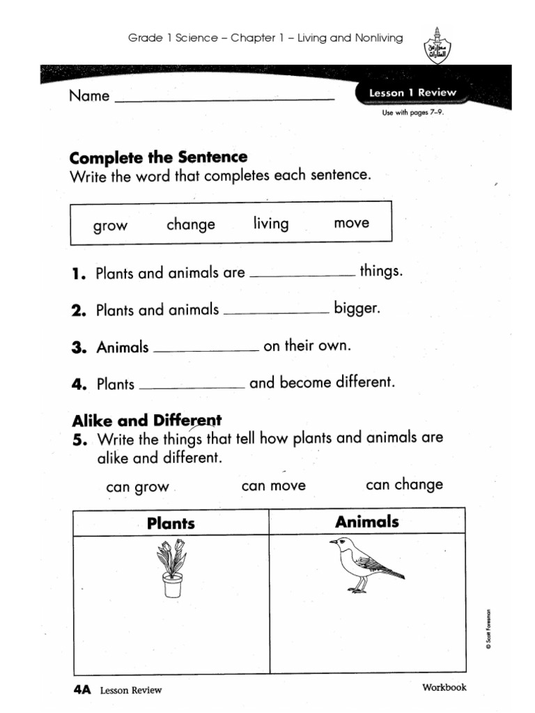 Science Workbook - Chapter 1 - Living and Nonliving | PDF