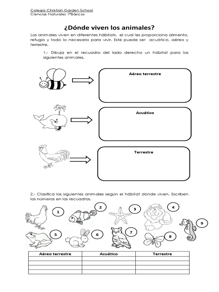 Donde Viven Los Animales 1º Básico | PDF