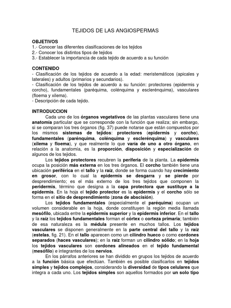 Tejidos Simples y Complejos | PDF | Tallo de la planta | Raíz