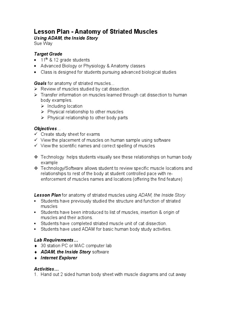 Muscle Anatomy | PDF | Muscle | Human Body